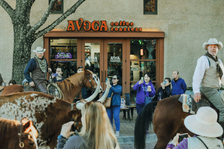 Locations - Avoca Coffee Roasters